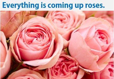 Everything is coming up roses 만사형통이야 영어 표현 : 네이버 블로그