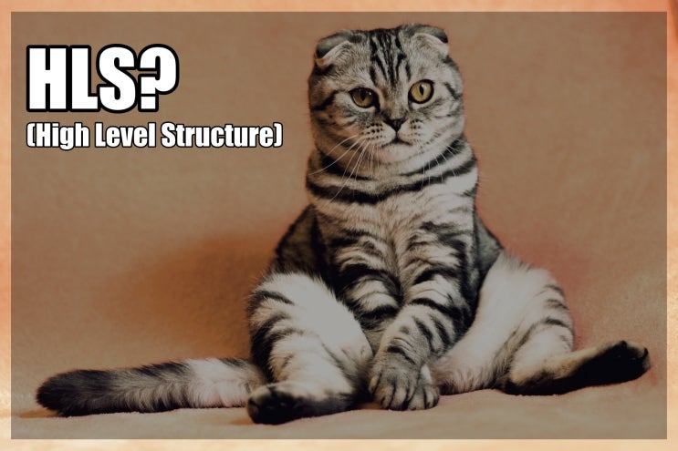 ISO의 HLS(High Level Structure)가 뭔가요? : 네이버 블로그