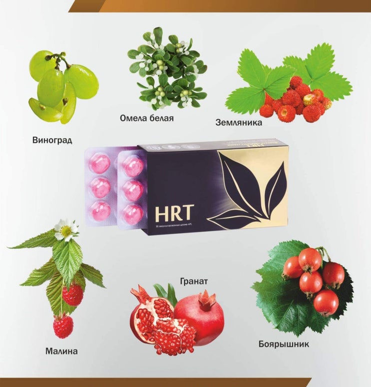APLGO,APL캔디 HRT 6구성 요소 (포도,산자속 나무,겨우살이,석류,라즈베리,딸기)특성 7 : 네이버 블로그