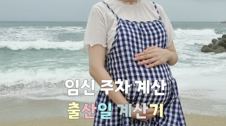 임신 주차 계산출산일 계산기 W기준일과 예정일은 네이버 블로그