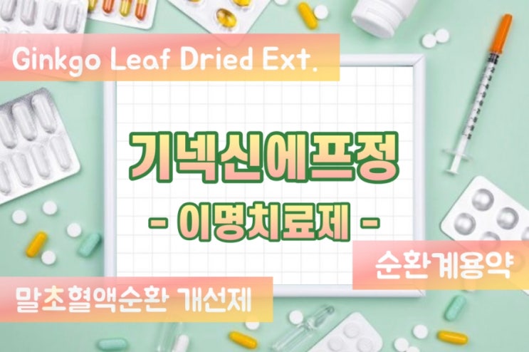 기넥신에프정80mg 혈액순환개선제 처방전과 부작용 복용법 자세히 기넥신 Ginkgo Biloba Leaf Ext 네이버 블로그