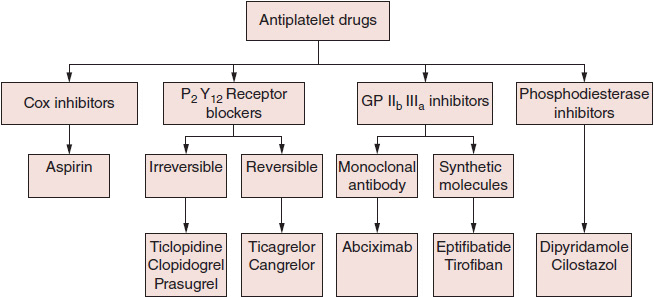 항 혈전제- antiplatelet?anticoagulation? 항혈소판? 항응고? 적응증 : 네이버 블로그