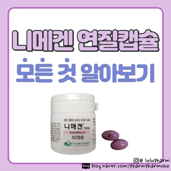 니메겐 연질캡슐 완전 분석 효과 항생제 부작용 등 네이버 블로그