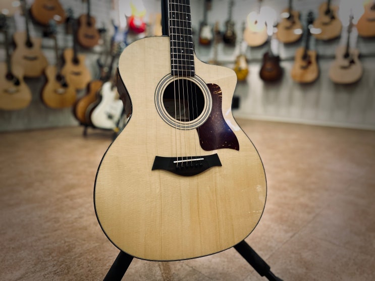 Taylor 214ce Plus : 네이버 블로그