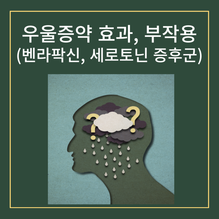 우울증 약 효과 부작용 벤라팍신 세로토닌 증후군 네이버 블로그