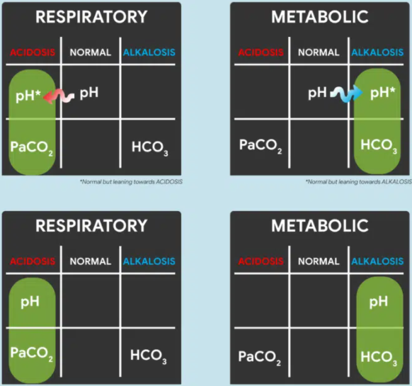 13. ABGA simple 하게 해석하기(3 step interpretation) : 네이버 블로그