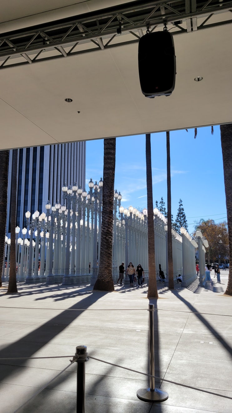 LA여행 셋째날 11월 27일 미술관과 유튜브씨어터 LACMA & youtube theater BTS PTD_ON_STAGE ...