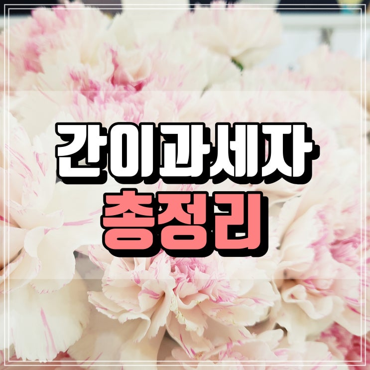 간이과세자 총정리 세금계산서 현금영수증 일반과세자의 차이 네이버 블로그