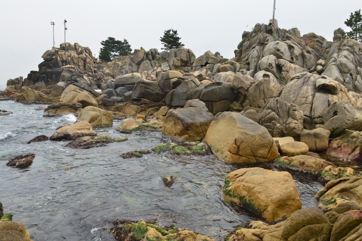 강원도 고성 가볼만한곳 문암해변 능파대 네이버 블로그