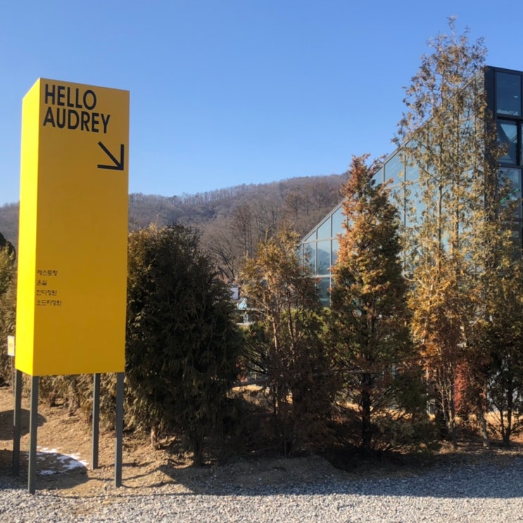 맛집 | 기념일에 가기 좋은 판교 레스토랑 ‘헬로오드리 (Hello Audrey)’ : 네이버 블로그