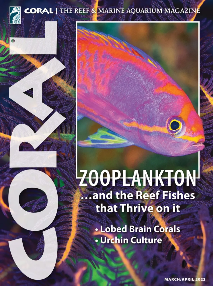 Coral Magazine[2022년 3/4월 호] : 네이버 블로그