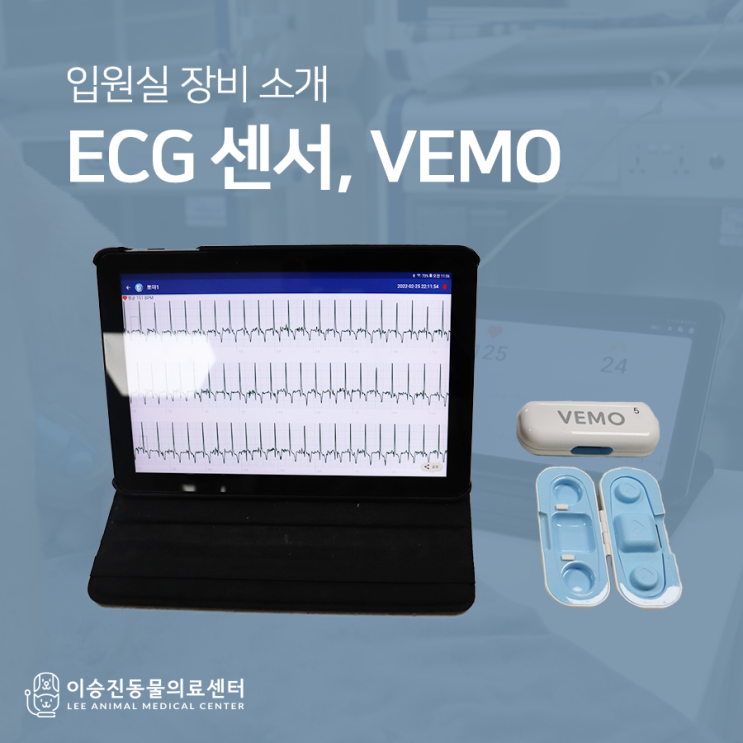 중증 환자 및 응급환자 관리, ECG(심전도) 센서 VEMO [울산 이승진동물의료센터 / 입원실 장비] : 네이버 블로그
