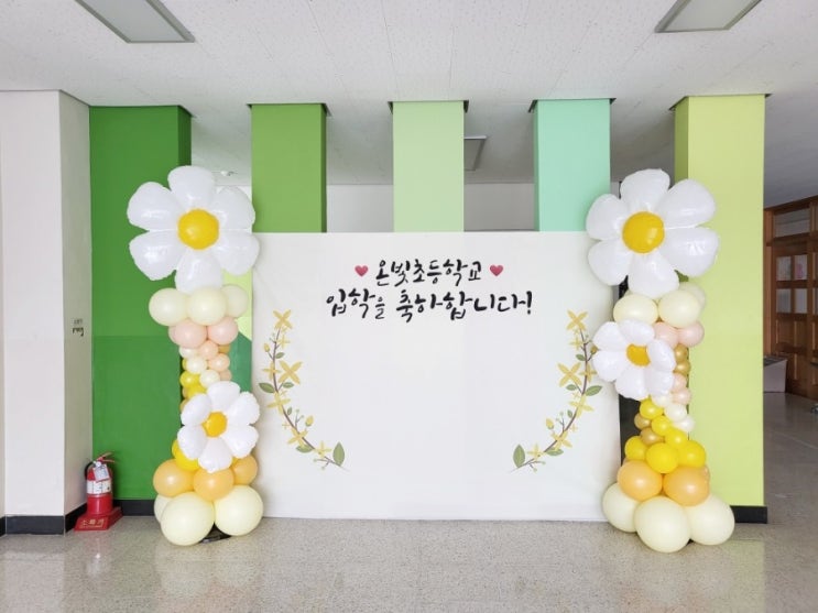 세종시풍선장식 졸업포토존 풍선아트 졸업장식 입학포토존 입학식 졸업식 세종풍선 대전풍선 커스텀풍선
