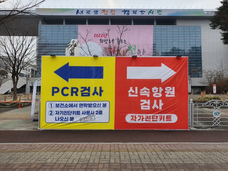 Pcr검사 코로나19 양성 확진자 및 동거인 안내문 자주하는 질문faq 네이버 블로그