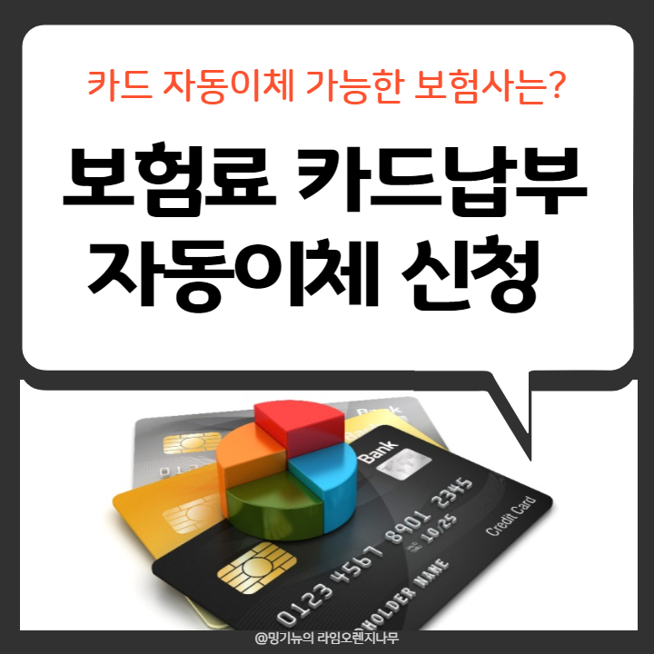 보험료 카드납부 결제 방법 삼성화재 메리츠화재 삼성생명 현대해상 외 네이버 블로그