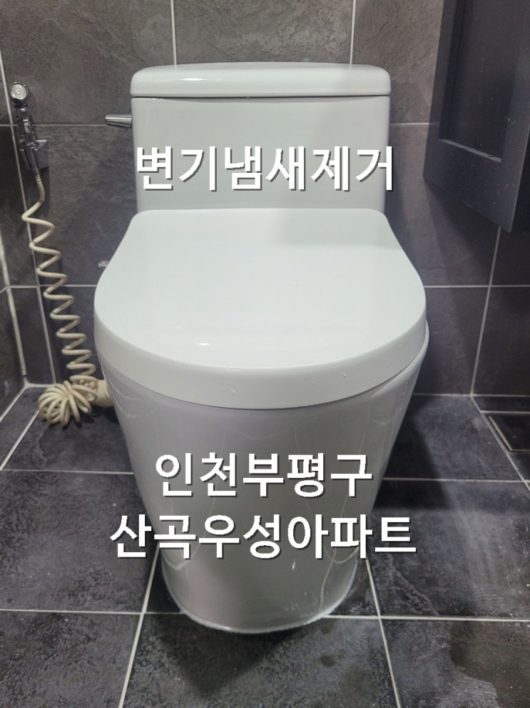 인천부평구변기수리 변기냄새제거 부평구 산곡동우성아파트양변기시공 대림바스원피스형양변기cc 260 산곡동변기교체 금호이수