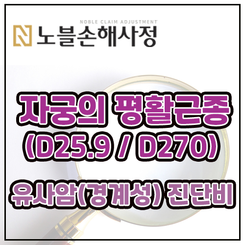 자궁평활근종(D25.9) 유사암(경계성)진단비 확인하세요! : 네이버 블로그