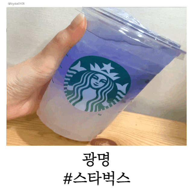 봄향기 가득한 2022년 봄맞이 스타벅스 신메뉴 스프링가든자스민드링크 네이버 블로그