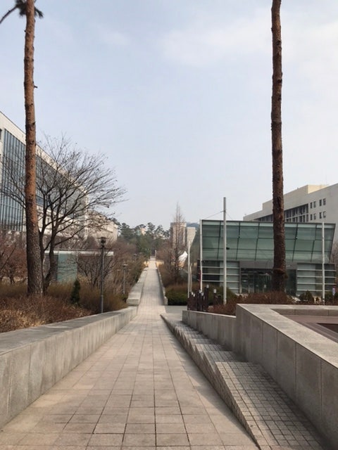 호랭이캠퍼스 : 네이버 블로그