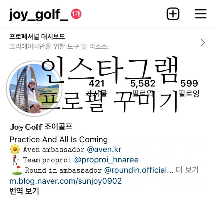 인스타그램 프로필 꾸미기 폰트 변경 특수문자 사용 방법 네이버 블로그