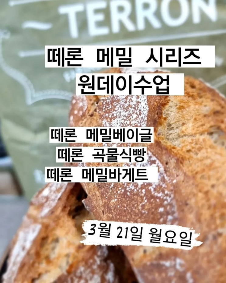 수업공지 떼론으로 만든 메밀바게트 메밀베이글 떼론 곡물식빵 원데이수업 대전베이킹대전 천연발효빵 수업 미미숲