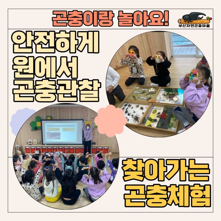 유치원어린이집 곤충체험 부산경남 찾아가는 곤충체험 유치원어린이집에서 안전하게 곤충이랑 놀아요 네이버 블로그