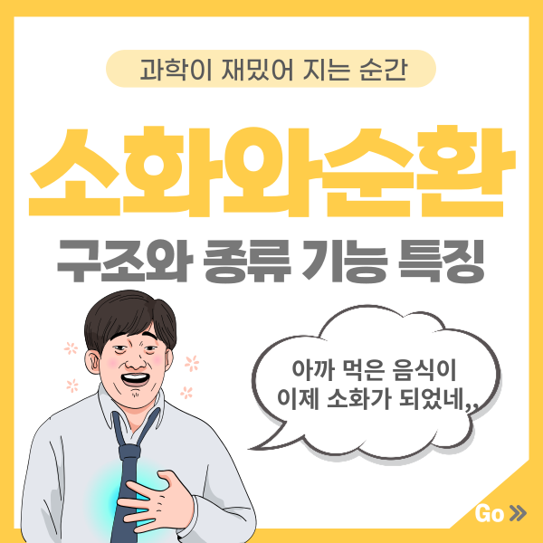 소화와 순환 종류와 기능 영양소의 흡수와 이용 심장의 구조와 혈관의 특징 혈액의순환 네이버 블로그