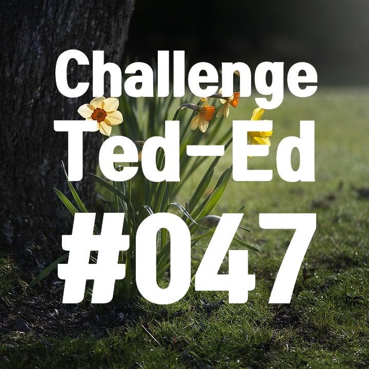 Ted-Ed challenge Day47) The psychology of narcissism(4) : 네이버 블로그