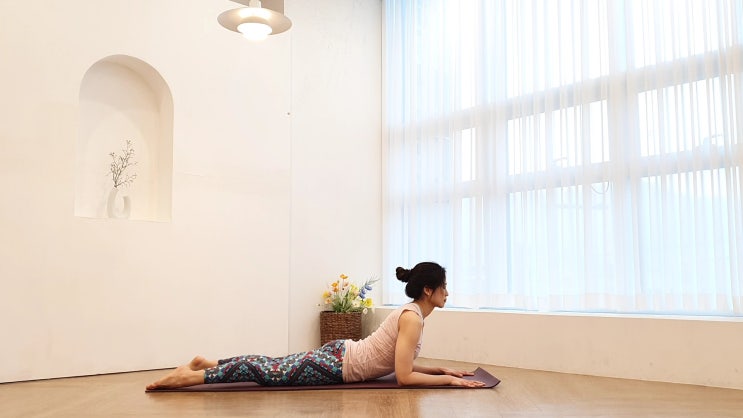[건강 이야기]_ 척추 건강에 도움 되는 요가 자세; 스핑크스(Sphinx Asana) : 네이버 블로그