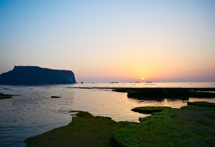 제주 성산일출봉 광치기해변 일출 그리고 유채꽃 네이버 블로그
