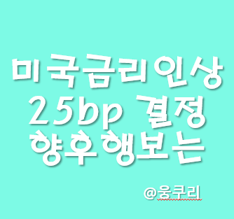 미국 금리인상 25bp 결정 : 네이버 블로그