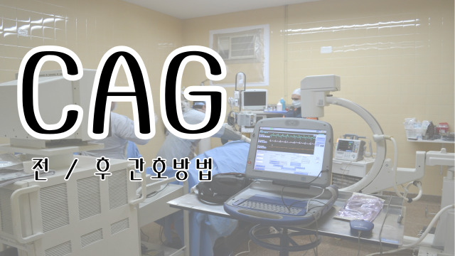 심혈관조영실 시술 전후간호(CAG, PCI) : 네이버 블로그