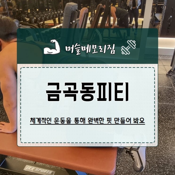 금곡동헬스호매실헬스머슬메모리짐 금곡동피티 체계적인 운동을 통해 완벽한 핏 만들어 봐요 네이버 블로그