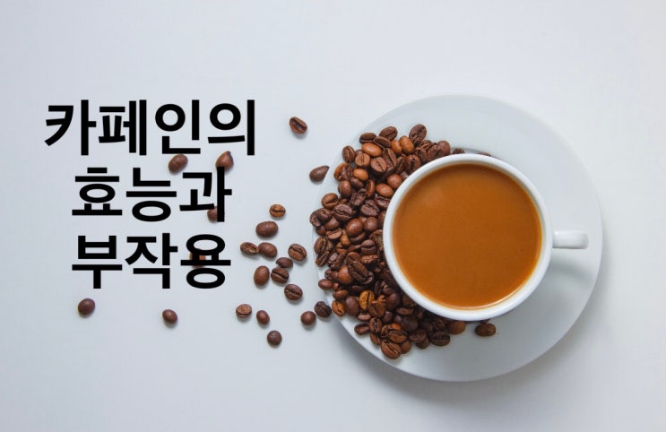 카페인의 효능과 부작용건대입구필라테스자양동필라테스뚝섬유원지필라테스추천 네이버 블로그