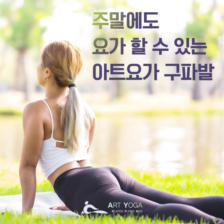 구파발 지축 원흥 요가 주말요가를 진행하는 아트요가 구파발 네이버 블로그