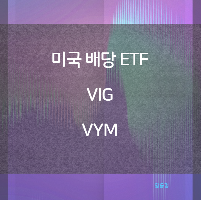 미국 배당 ETF 추천 : VIG, VYM : 네이버 블로그