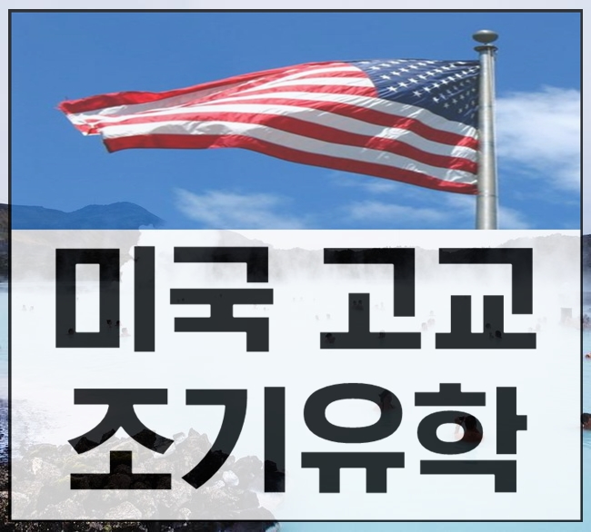 미국 조기유학 당장 나가야 되나 고민된다면? : 네이버 블로그
