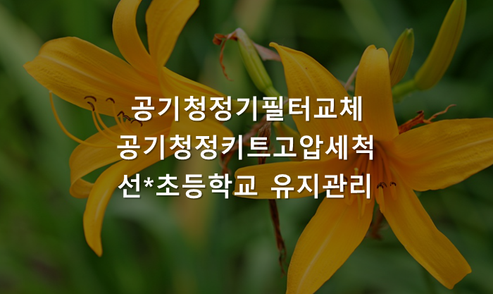 초등학교 공기정화장치 유지관리 선초등학교 공기청정기 필터교체 및 냉난방기공기청정키트 고압세척 작업 결과 네이버 블로그