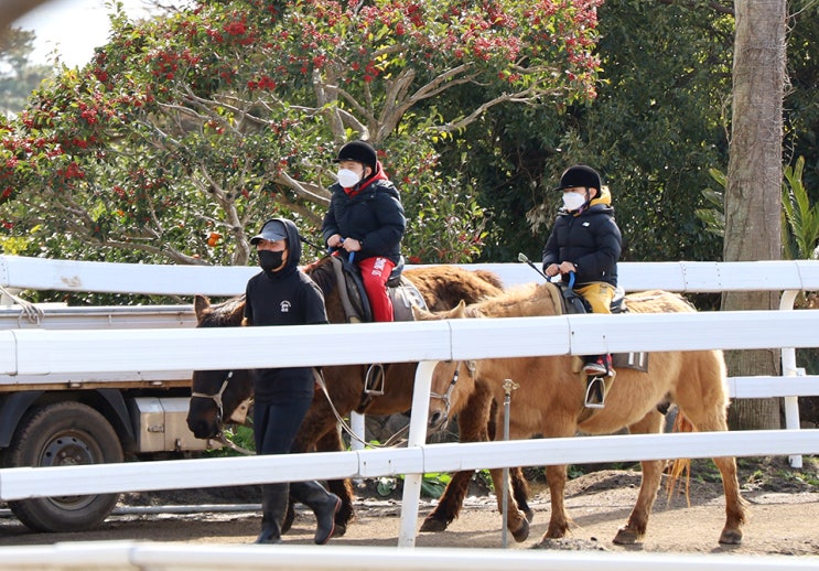 어린이 승마체험 중문승마공원 제주바다 말타고 산책하기 : 네이버 블로그