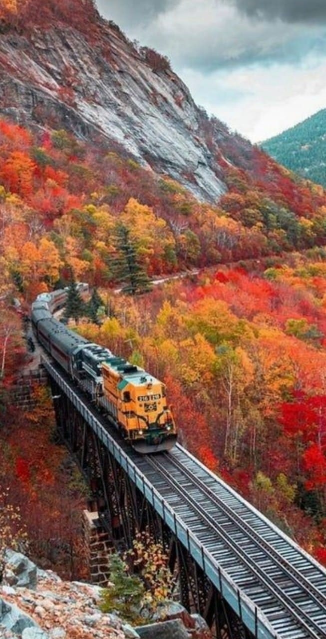 Orange Blossom Special - Billy Vaughn : 네이버 블로그