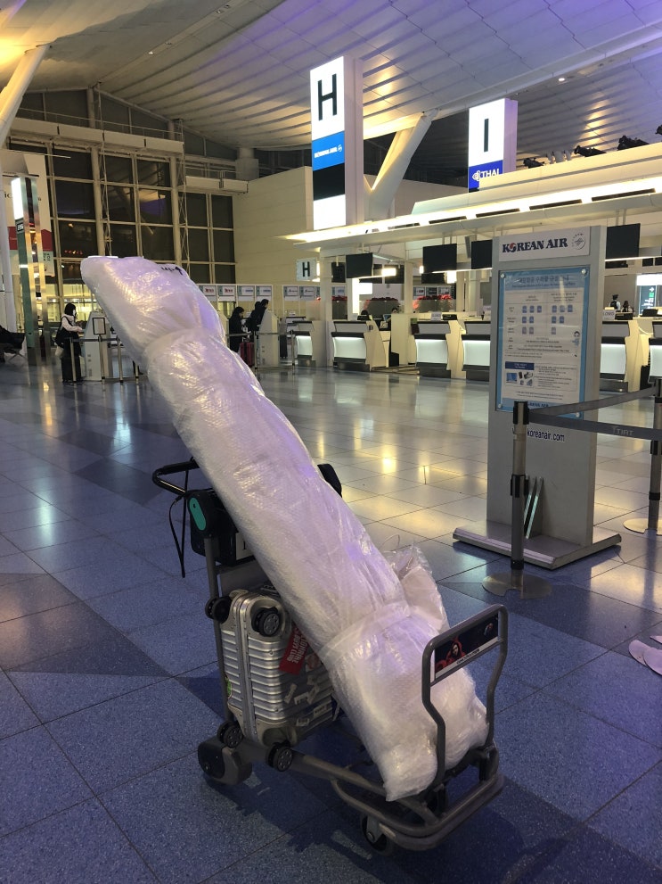 お箏 고토 일본가서 악기사기 : 네이버 블로그