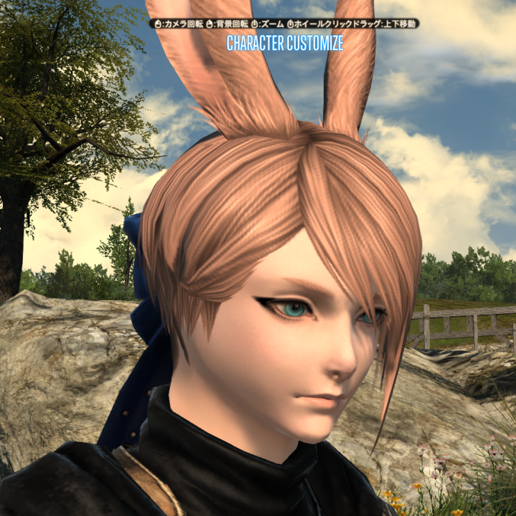 남비에라 헤어 카탈로그: 포니테일, 비대칭, 2B, 9S : 네이버 블로그