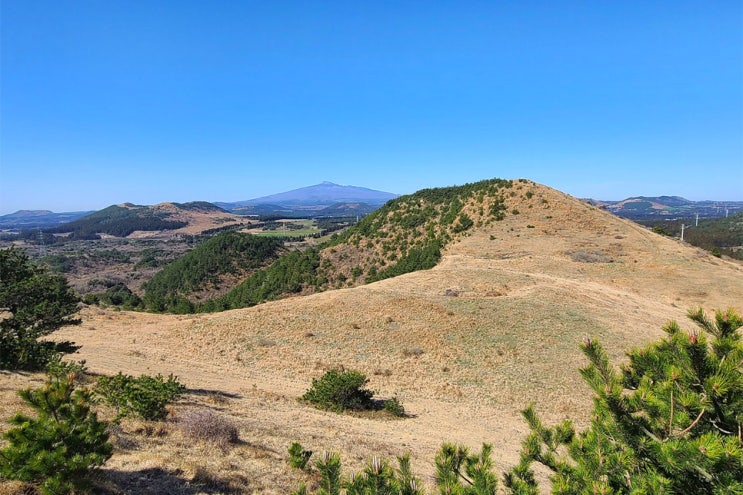 제주 오름 추천 입지가 확실한 동거문이오름(동검은오름) : 네이버 블로그