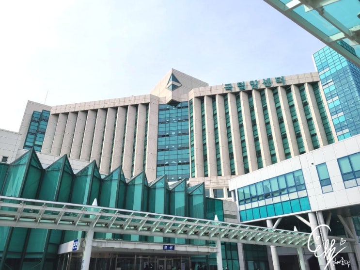 20대 유방암 투병일기67 일산 국립암센터 자궁암센터 산부인과 검진 네이버 블로그