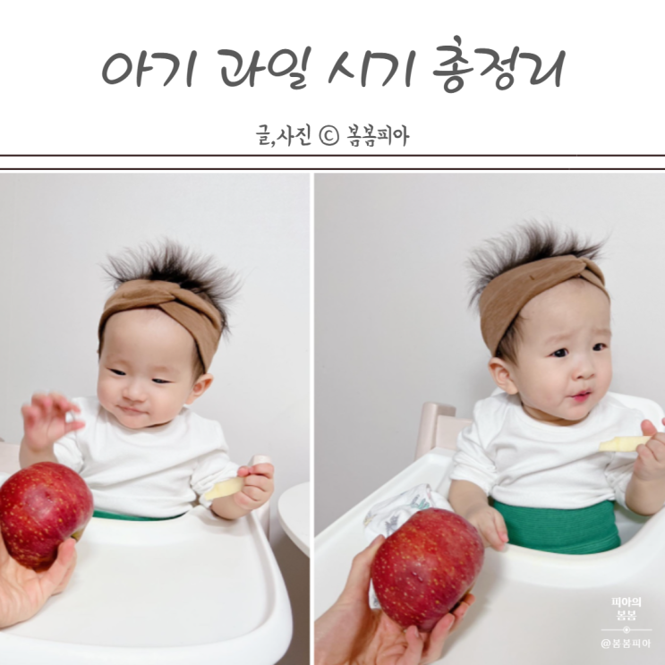 아기과일시기 총정리주의사항 네이버 블로그