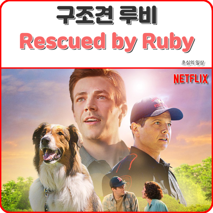 영화 Rescued by Ruby - 열정과 믿음, 관심과 배려가 만들어낸 감동 실화 : 네이버 블로그