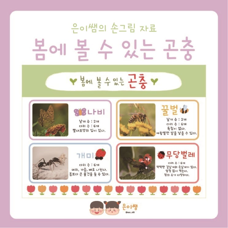 어린이집 유치원 곤충 프로젝트 벽보자료 공유 봄에 볼 수 있는 곤충 네이버 블로그