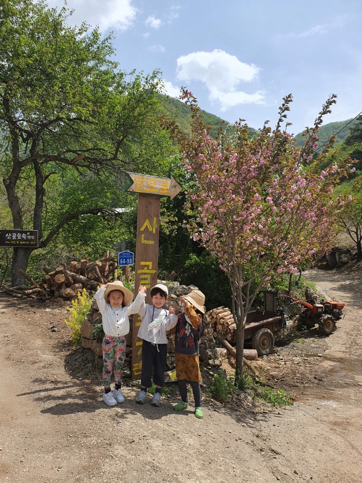 친구들과 함께한 촌캉스 영월 삼시세끼 네이버 블로그