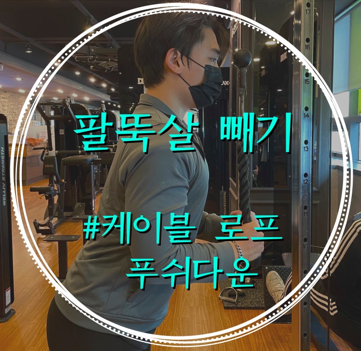 팔뚝살빼기 삼두운동 케이블 로프 푸쉬다운 올바른 자세 운동방법 휘트니스파이널 신곡동pt 신곡동헬스장 의정부 네이버 블로그
