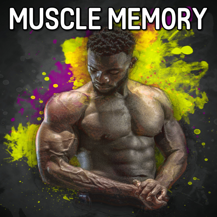 머슬 메모리(Muscle Memory), 근육은 언제까지 기억을 할까?(근손실) : 네이버 블로그